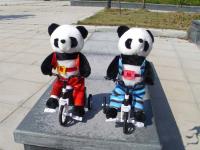 China 28cm Musical Plush Panda Toy Singing Dancing Electronic Bicycle Animal Soft Toy CE EN71 for sale