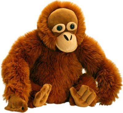 China 20cm Cute Wild Monkey Stuffed Animal Toys Eco Friendly Personalized for sale
