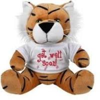 China Customized 25cm Brown Tiger Plush Toy with Badge Polyester Stuffed Animal for Promotion Gifts for sale