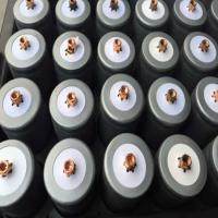 China Screw Type LiFeP2O4 Battery Cells 32650 3.2V 6000mAh For Solar Energy Storage System for sale