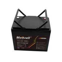 China 12V 100Ah LiFePO4 Battery IP67 Lightweight 1280Wh Deep Cycle for RV Marine Solar for sale