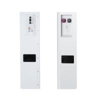China Rechargeable Lifepo4 Battery Lithium Phosphate Battery 48v Wall Mounted Battery for sale