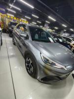 China Electric Fuel Type 2020 Used EV Car 5 Star Safety Rating Available In New York for sale