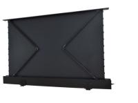 China FLYIN EDL100 130-Inch ALR Electric Floor Rising Projector Screen with 160° Viewing Angle and 3-Year Warranty for sale