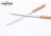 China Food-Grade Stainless Steel BBQ Needle with Handle - 12 Inch Professional Grilling Tool for Safe Cooking for sale