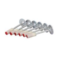 China GB Standard Steel and Plastic Nails for Wood Keel Tube Clips in Ceiling Installation for sale