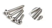 China ISO Standard Pan Head Self Drilling Screws in 304 Stainless Steel with Phillips Driver for sale