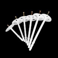 China Custom Carbon Steel Screws Insulation Fixing Nail Anchors with 55mm Plastic Washer for sale