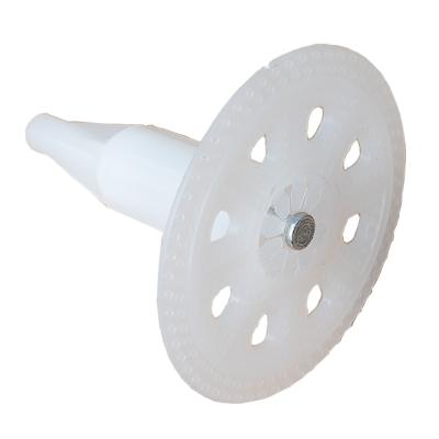 China Boost Your Project with 30-100mm Length Insulation Nails Smooth Shank for sale