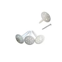 China 3.7mm Shank Diameter Flat Head Steel Insulation Nails for Insulation Wall Installation for sale