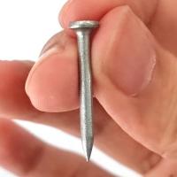 China ISO Standard Collated Plastic Strip Nail Drive Pin for Smooth Shank Gas Concrete Nailer for sale
