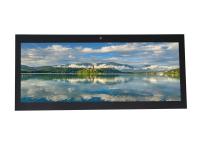 China 12.3inch IPS TFT LCD with CTP and Oca Bonding with Af Treatment 1920*720 for sale