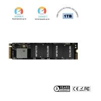 China High Speed Internal Solid State Drive 128GB 256GB 512GB M. 2 2230 2242 2260 2280 Pcie3.0 for sale