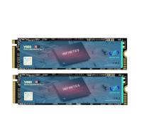 China 256GB M. 2 SATA Pcle3.0 X 2 Solid State Drive SSD Msata High Performance for sale