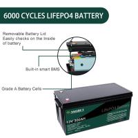 China Golf Cart 12V Lithium Battery Pack Lifepo4 Battery 300ah For Cold Weather for sale