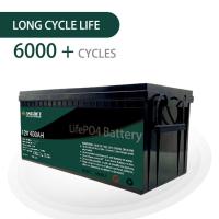 China ASGOFT Solar Energy Lifepo4 12V Lithium Battery Pack 400ah Pack For RV Golf Carts for sale