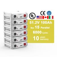 China UL Certification LiFePO4 Energy Storage Battery 51.2V 100Ah Stacked Rack for sale