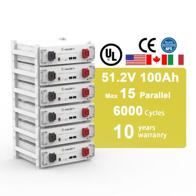 China UL Certification LiFePO4 Energy Storage Battery 51.2V 100Ah Stacked Rack for sale