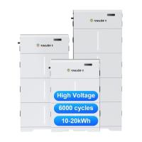 China 2023 Most Popular High Voltage HV Battery Pack Energy Storage System Battery for sale