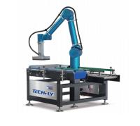 China Transform Packaging Efficiency Advanced Robotics Automation Integration with Robot Carton Packer for sale