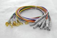 China EEG for sale