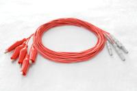 China EEG for sale