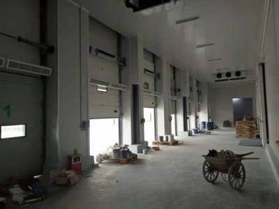 China Polyurethane Thermal Insulation Commercial Sectional Steel Doors Industrial Customized for sale