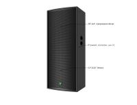 China 650W Dual 15 Inch Two-Way Passive PA Speaker for Karaoke and Stage Performance for sale