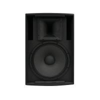 China Passive 15 Inch Audio System 500W Wooden Audio PA Speaker Customized for sale
