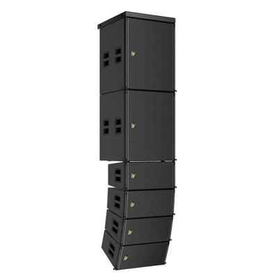 China Passive Line Array Speaker 300W 10-Inch Single Unit for Party Club Bars for sale
