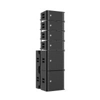 China Customized Passive Line Array 8 Inch Single Indoor Outdoor Speaker 525mm Height 20kg for sale