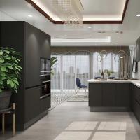 China Appliance Modern Kitchen Cabinet With Particle Board & Plywood  Materials for sale
