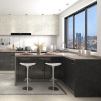 China Sleek Supplier Gloss Lacquer Kitchen Cabinet with Practical Accessories for sale