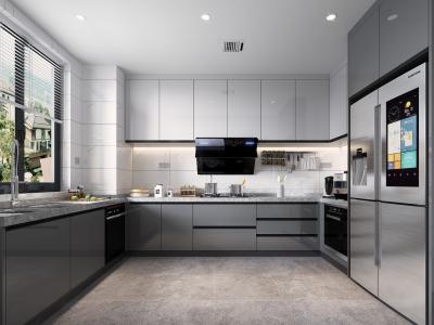 China Complete Kitchen Cabinet Backsplash Adjustable Pull Out Under Kitchen Cabinet for sale