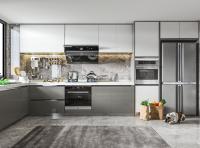 China Modern Acrylic Kitchen Design Unit Cabinet Door Modular Lacquer Kitchen Cabinet for sale
