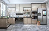China OEM ODM Cabinext Furniture Kitchen Cabinets With Restaurant Style For House for sale