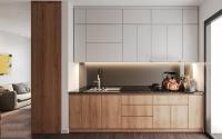 China Quartz Countertop Shaker Kitchen Cabinets For Apartments for sale