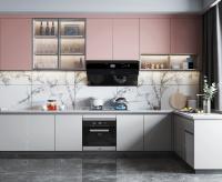 China China Manufacturer Solid Wood Door Kitchen Cabinet Furniture Made in Foshan for sale