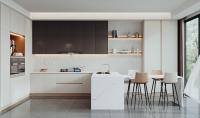 China European Style Simple Design To Bake Lacquer Ambry Solid Wood Kitchen Cabinet for sale