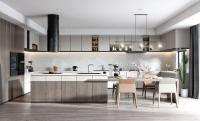 China Customizable Modern Open Villa Modular Shaker Kitchen Cabinet With Island for sale