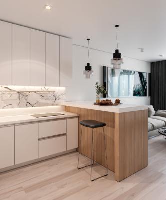 China Custom Door Material Modern Kitchen Cabinet With Carcass Material For Villa for sale