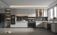 China Smart Furniture Modern Cupboard Kitchen Cabinet For Apartment Hospital for sale