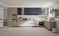 China Smart Furniture Modern Cupboard Kitchen Cabinet For Apartment Hospital for sale