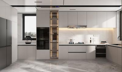 China Smart Furniture Modern Cupboard Kitchen Cabinet For Apartment Hospital for sale
