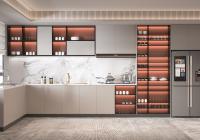 China Factory Europe Shaker Modern Kitchen Cabinet With Wood For Apartment for sale
