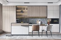 China Factory Europe Shaker Modern Kitchen Cabinet With Wood For Apartment for sale