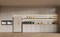 China Modern Luxury Kitchen Cabinet for Stylish and Space-Saving Solutions for sale
