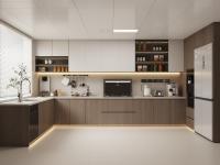 China Lacquer Kitchen Cabinet  French Design Laminate Commercial Kitchen Cabinets for sale