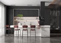 China Faceframe Design Shaker Door Cabinet Modern Kitchen with Door For Home for sale