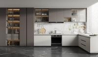 China Faceframe Design Shaker Door Cabinet Modern Kitchen with Door For Home for sale